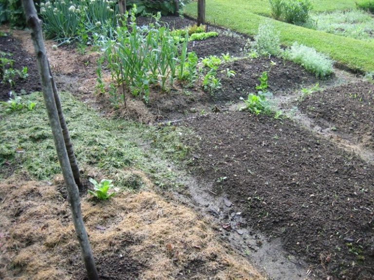 Preparing New Garden Beds | Soil Nutrient Analysis Laboratory