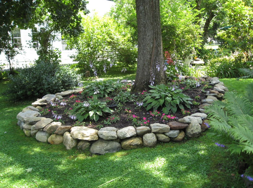 Growing Lawns Under Shaded Conditions | Soil Nutrient Analysis Laboratory