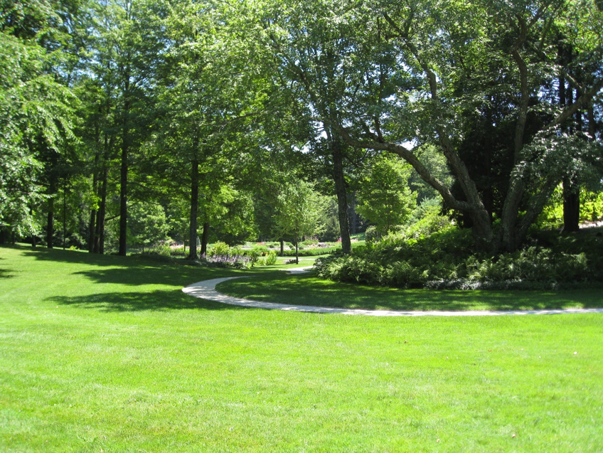 Growing Lawns Under Shaded Conditions | Soil Nutrient Analysis Laboratory